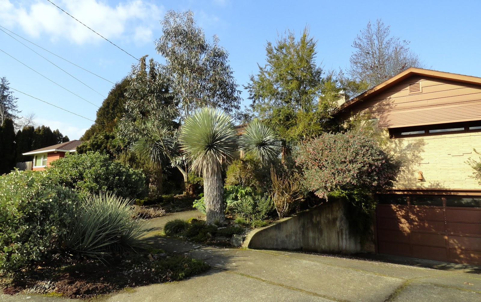 danger garden: Catching up with an old favorite...