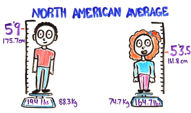 Are You Above Or Below Average? #video - Visualistan Are You Above Or Below Average? #video - Visualistan