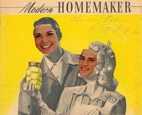 The Beholders Series: My Erratically Systematic Life