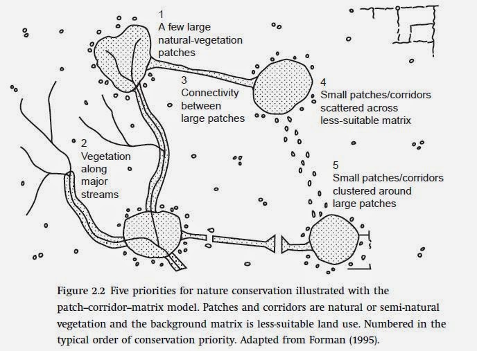 ((FULL)) Patch Corridor Matrix Model