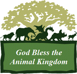 Reflections from Bon Bon Pond: God Bless the Animals
