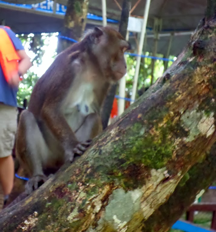 The Sweet Life of an Ilongga