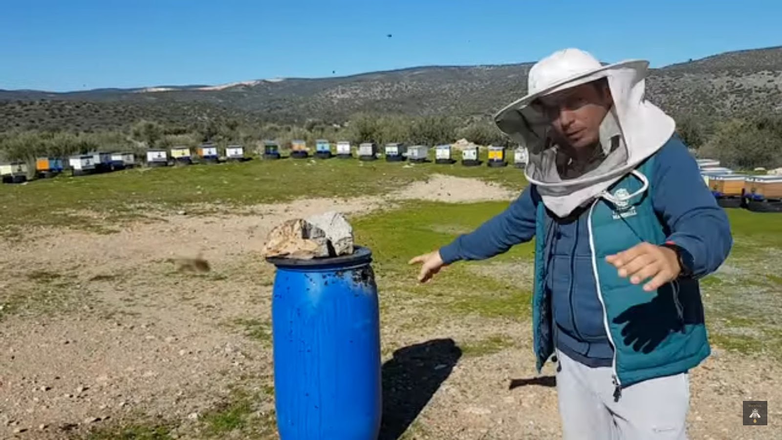 Ανοικτή τροφοδοσία μελισσιών Μέρος 1 (ΒΙΝΤΕΟ) - XΡΥΣΟ ΜΕΛΙ ΖΑΚΥΝΘΟΥ