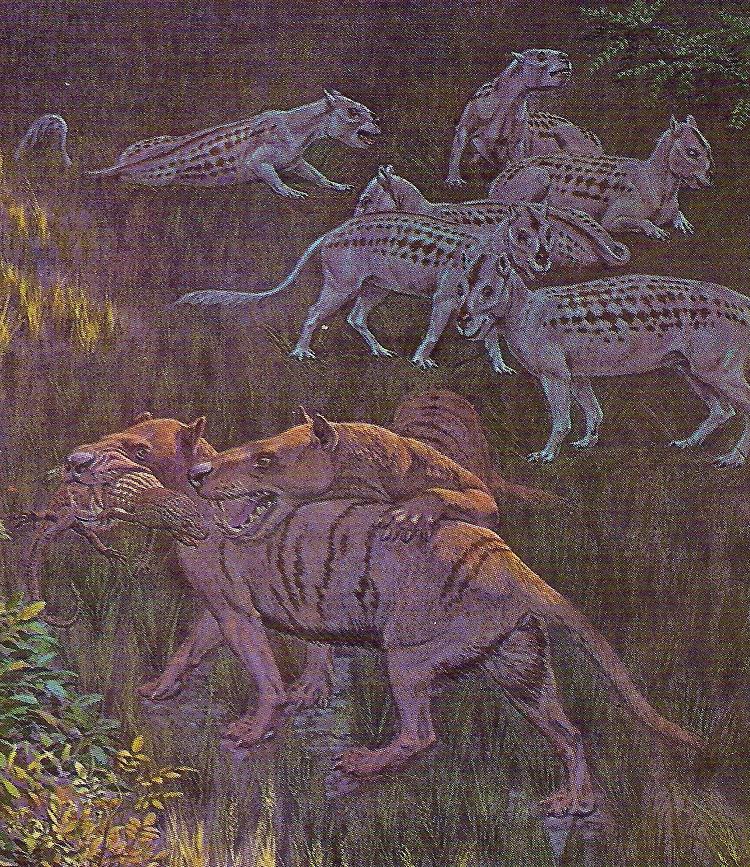 AGATHAUMAS: M'ammalia: gli scenari cenozoici di Jay Matternes