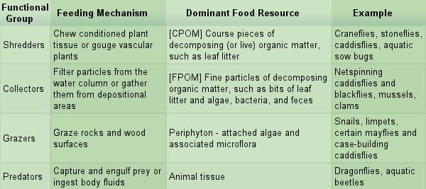 The Ecological Effects of Damming: Functional Feeding Groups