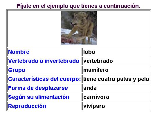 COLEGIO DE CHERIN : CÓMO DESCRIBIR UN ANIMAL