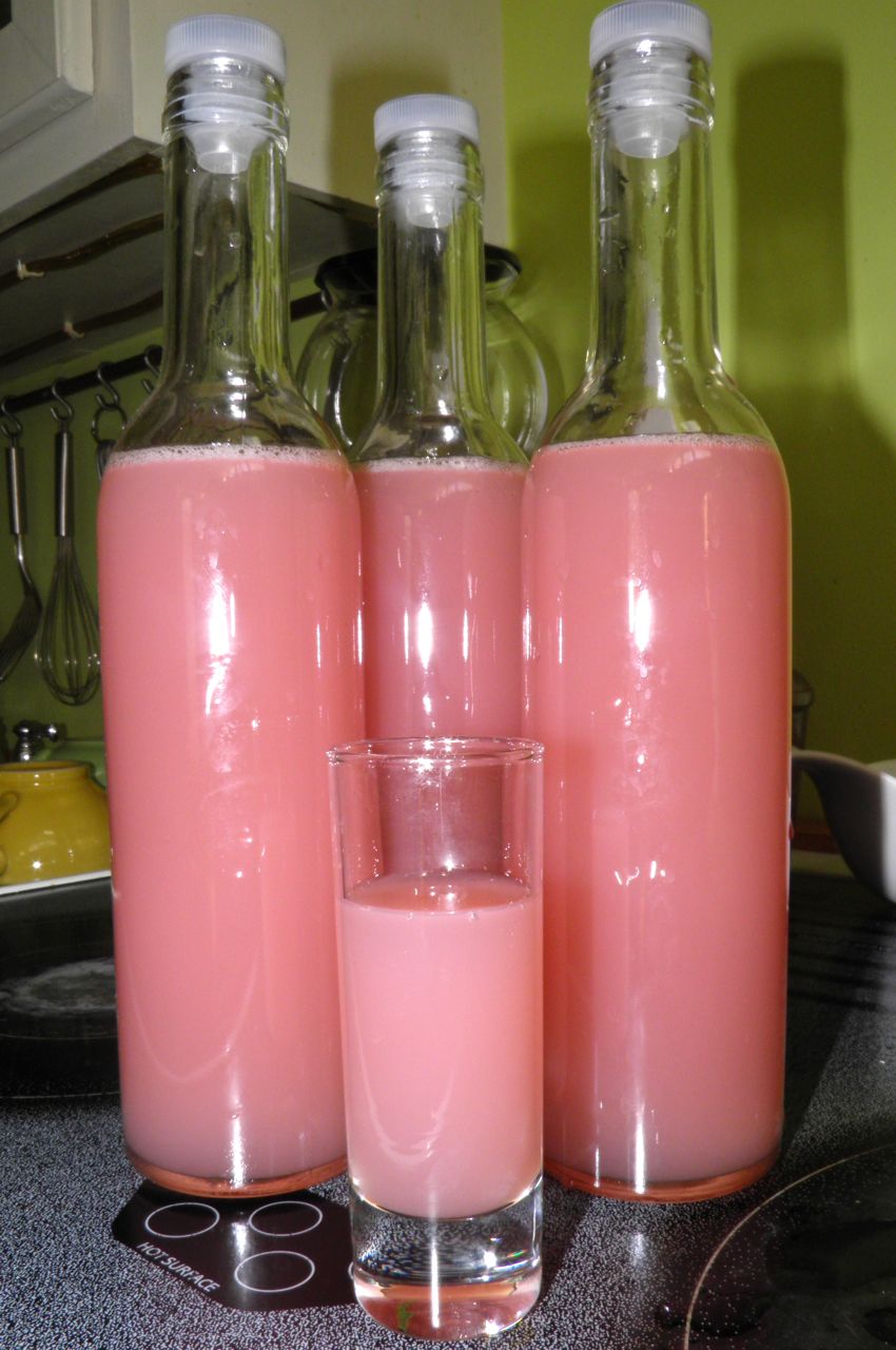 Docaitta Lifestyle: Homemade Booze: Strawberry Cream Gin