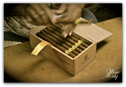 Wine MDQ: La elección de un Puro (2da Parte)