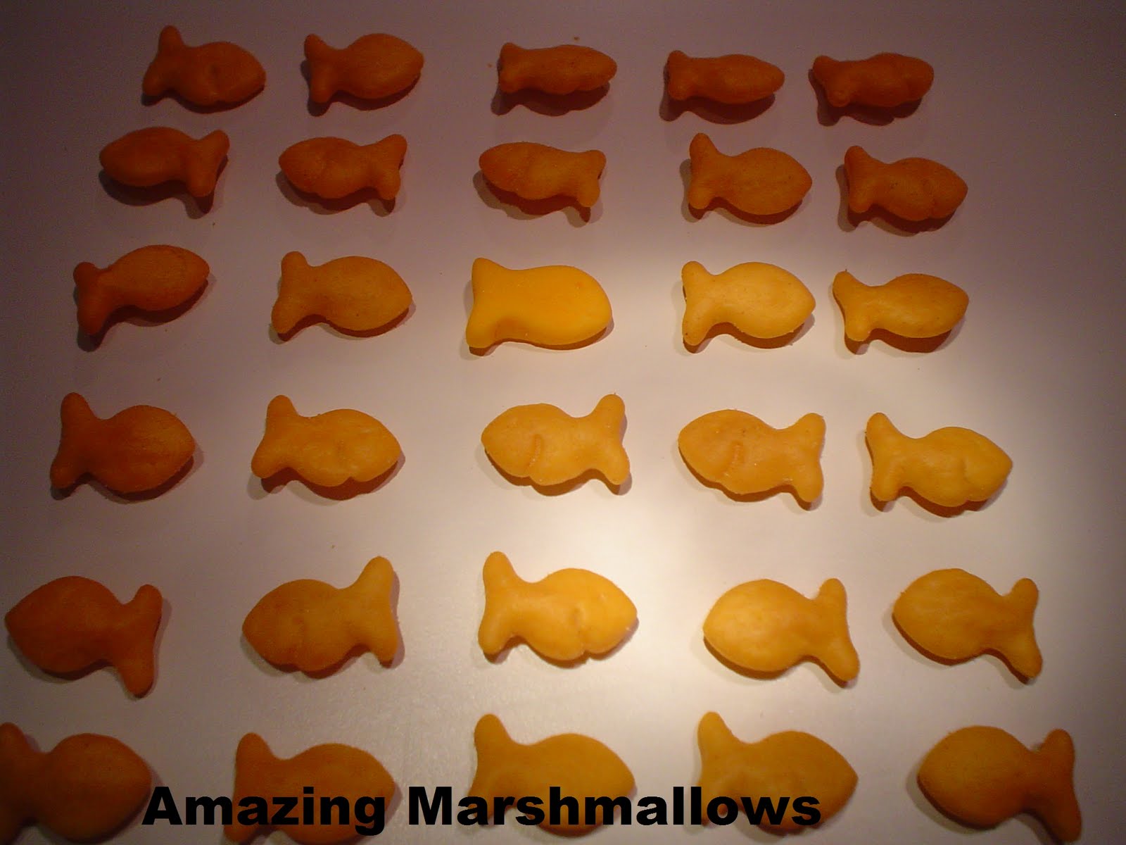 Amazing Marshmallows: Here fishy fishy fishy