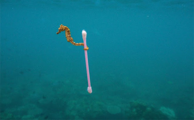 National Geographic’s Photos Of The Harsh Reality Of Plastic Pollution ...
