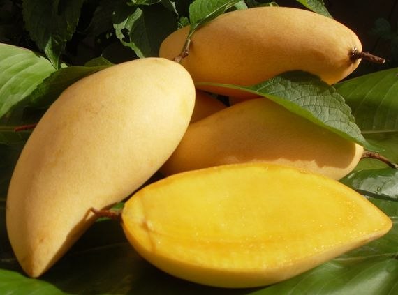 Locky's English Playground: Fruit: Thai Mango -- "Ma Muang"