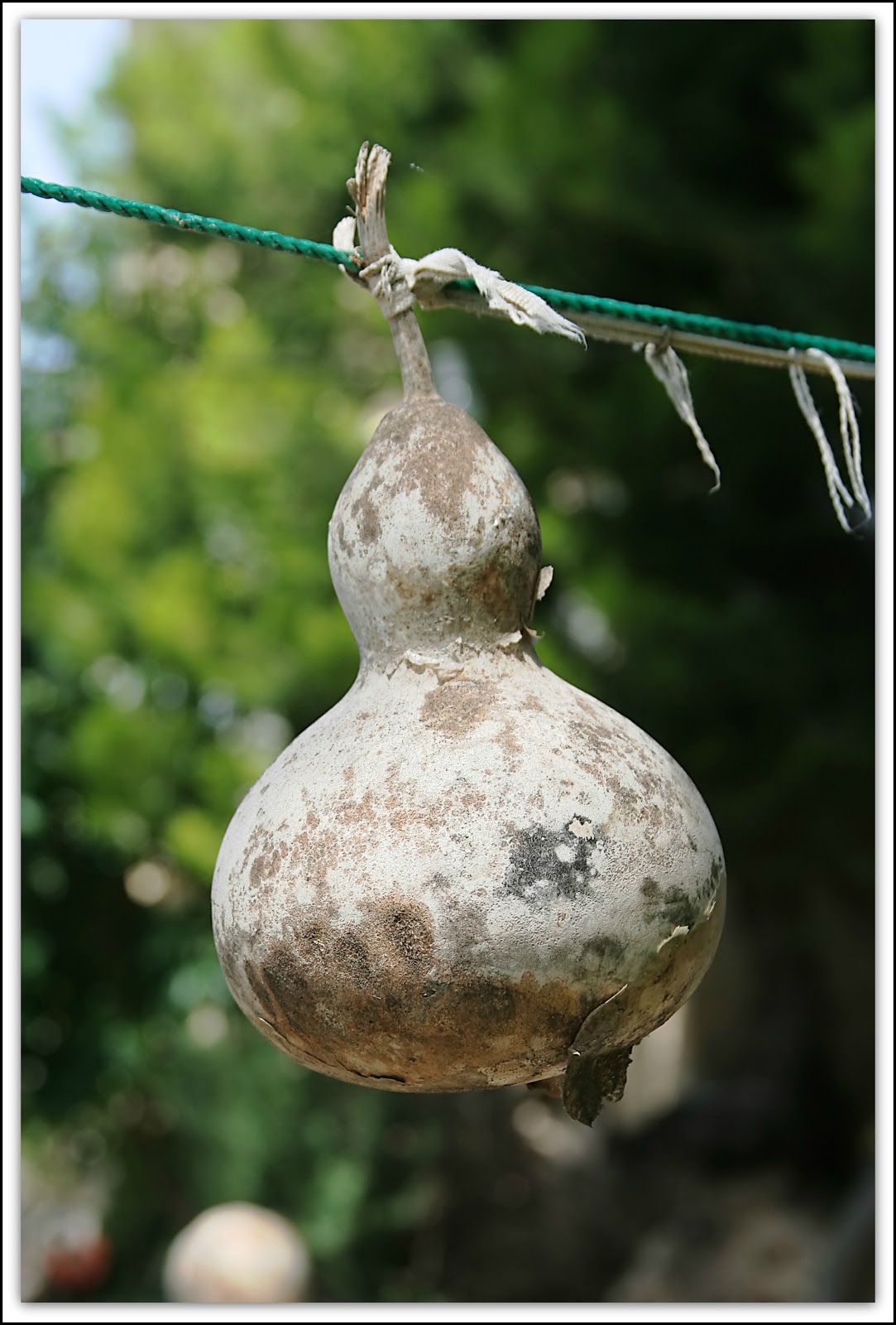 From the Montessori Music Room: Let's Make a Gourd Rattle! | Magical ...