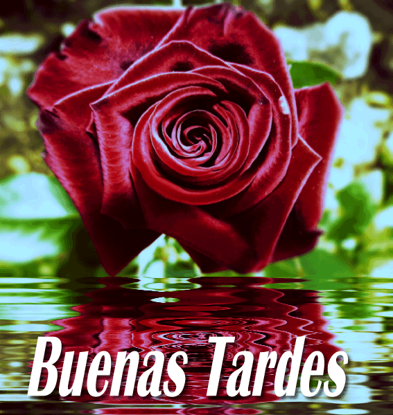 Buenas Tardes - Hola pase por aquí a desearte una feliz tarde, recuerda ... Buenas Tardes - Hola pase por aquí a desearte una feliz tarde, recuerda ...
