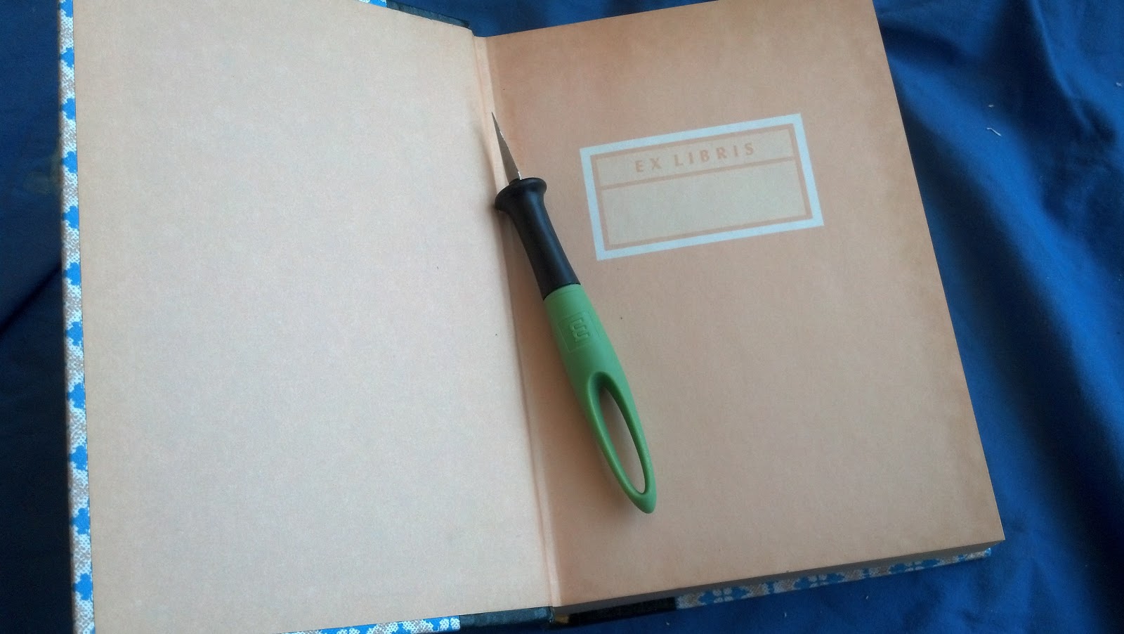 Field of Poppies: Discarded Book Journals: A Tutorial