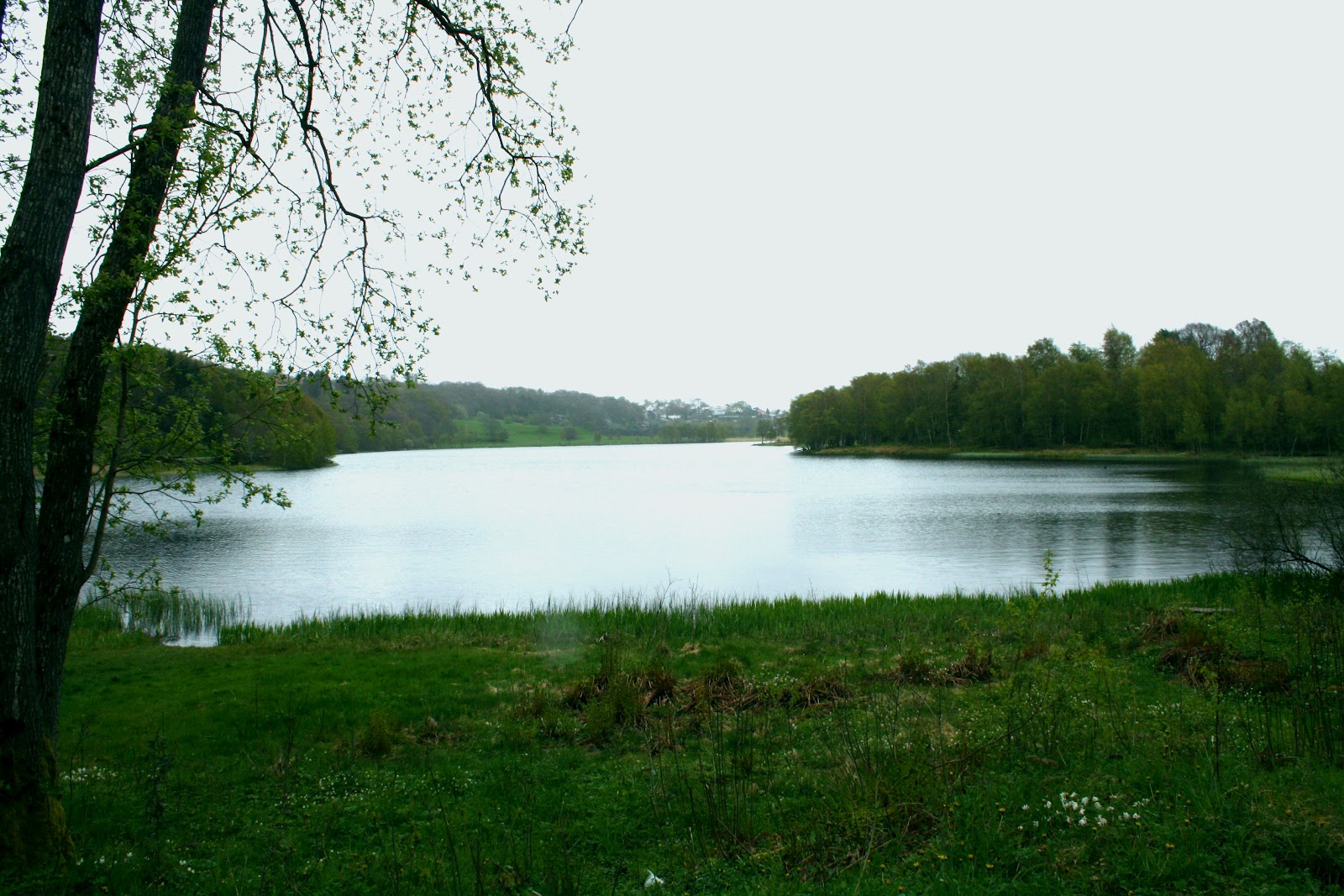 Lille Stokkavannet: Sone 5