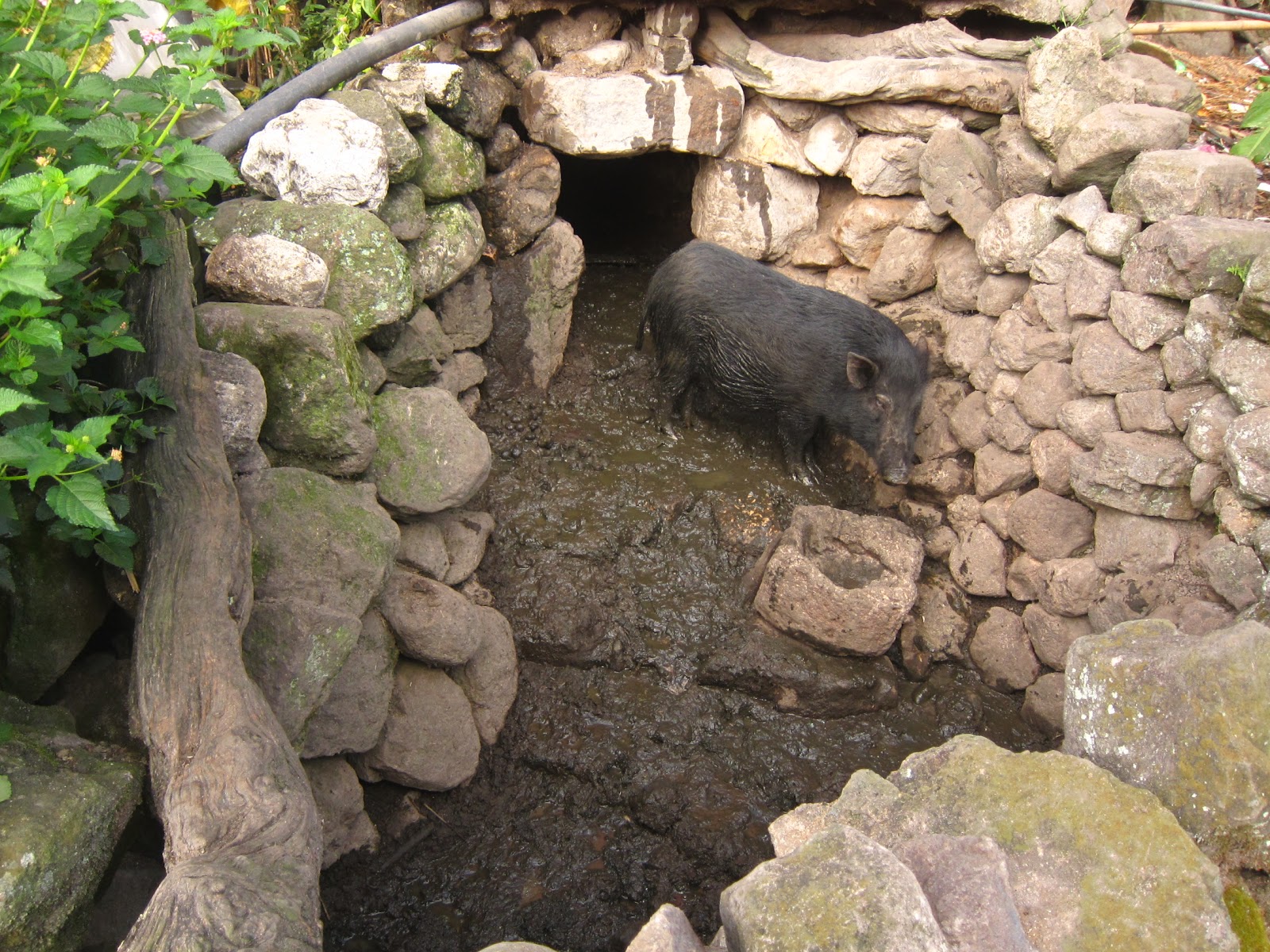 wild waters and wanderings of a cacanindin: Guina'ang Village