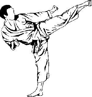 Sensei M.Maharaj: SOKUTO GERI or SIDE KICK