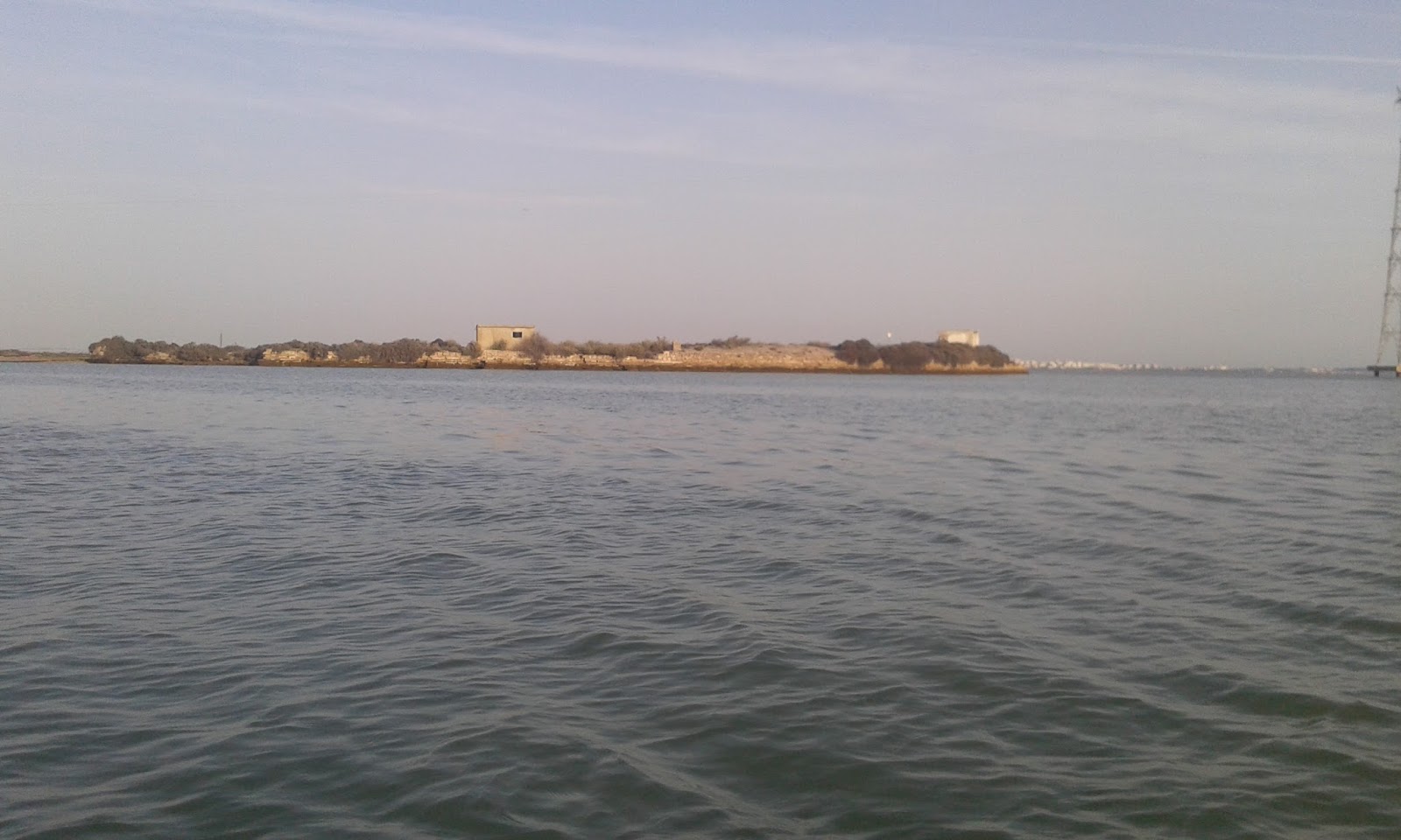 Mi corralito: Bailas con marea muerta