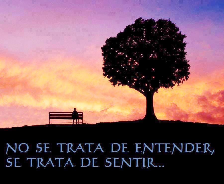 MANDALAS Y AUTOCONOCIMIENTO: El Duelo y sus etapas...