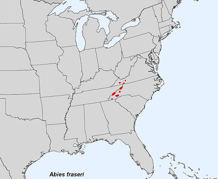 Blue Ridge Foothills & Lakes Virginia Master Naturalists: Fraser Fir ...