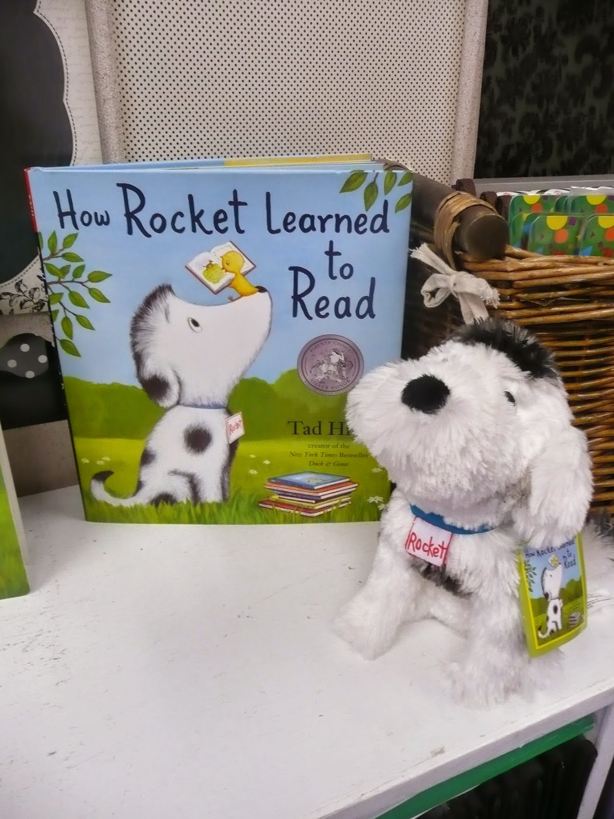 Following the Fun: How Rocket Learned to Read