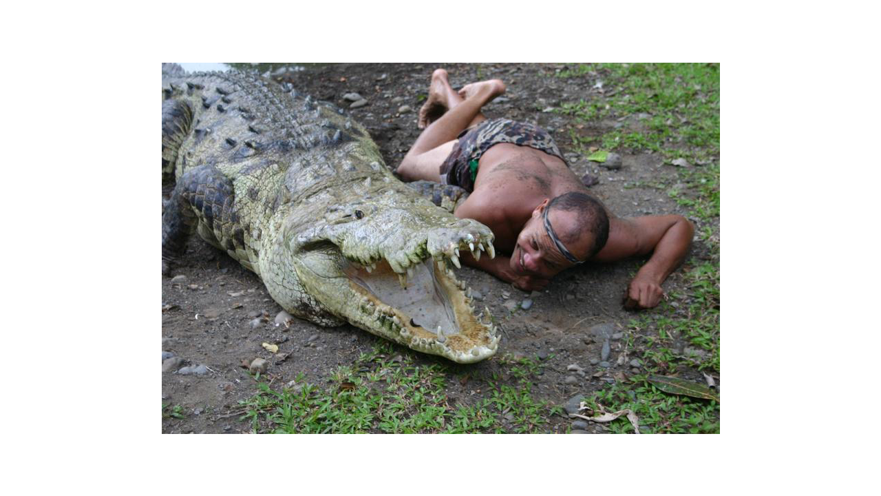 depo: Costa Rica Chito and Pocho The Famous Crocodile Man v2