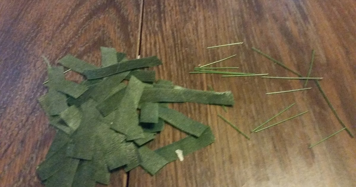 Mini Mod Pod: Snake Plant Tutorial