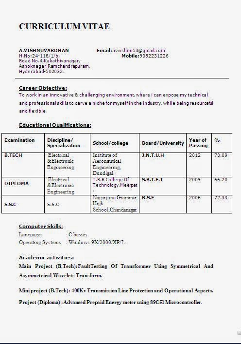 cv evropeiski format