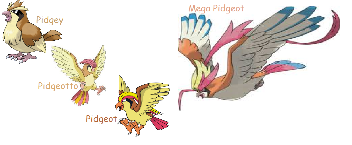 Pidgeotto Poke'mon