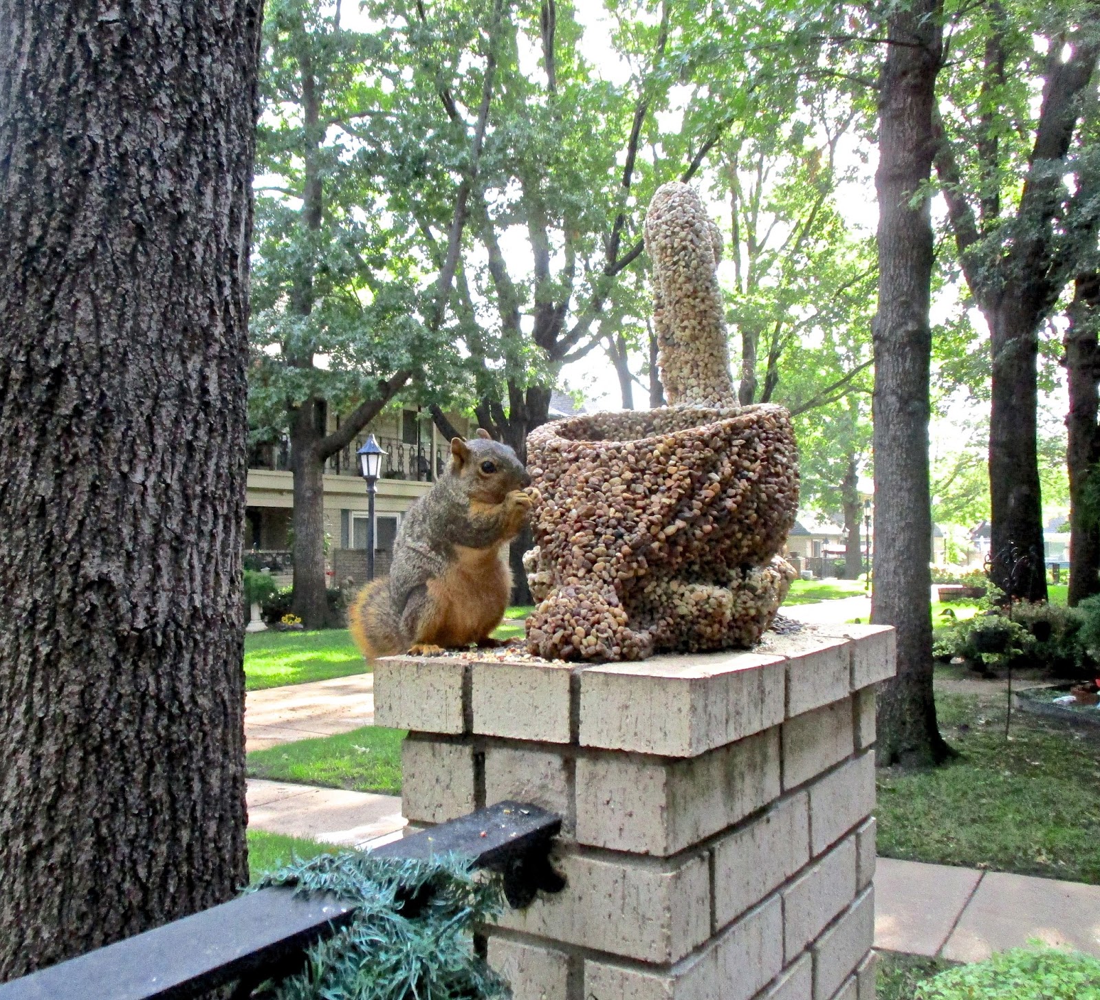 jkwgalleries: Squirrels, Barn, Clouds, Fountain and Helicopter