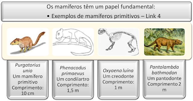 EstratoBlografia: Geistória: Era Cenozóico - Periodo Paleogénico