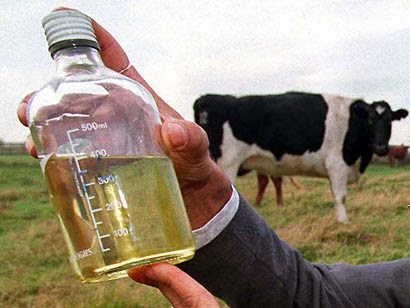 Health Benefits of cow urine | Healthy Life of John