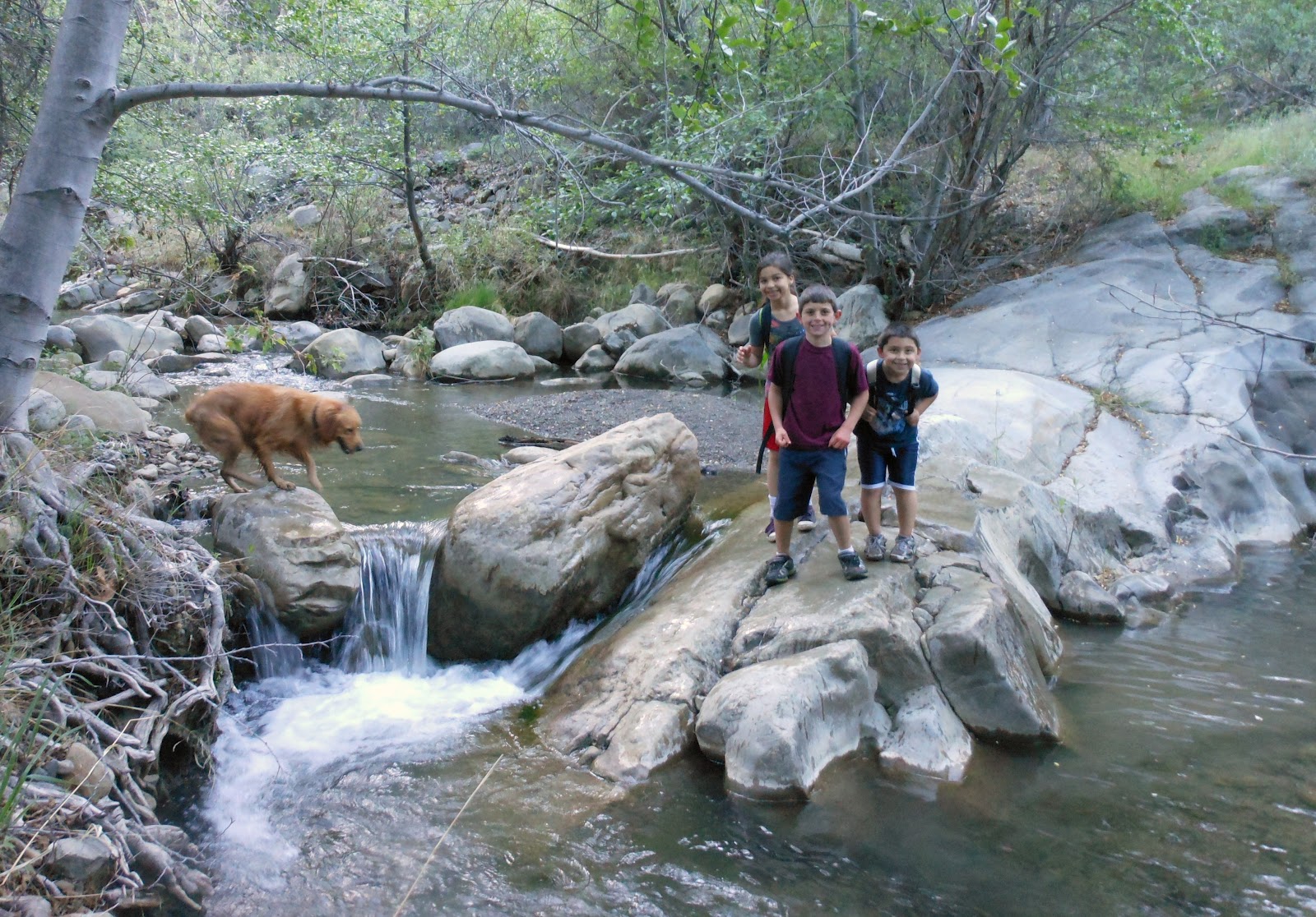 1000 Hikes in 1000 Days: Days 523 & 524: Camping on the Matilija Trail