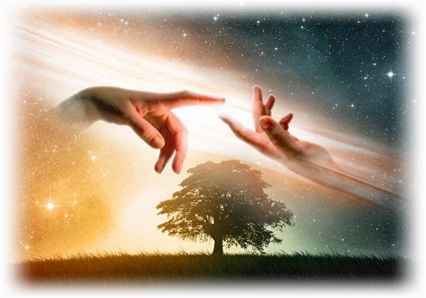 Adina Amironesei - Universul meu : Despre proiectul care a schimbat ...