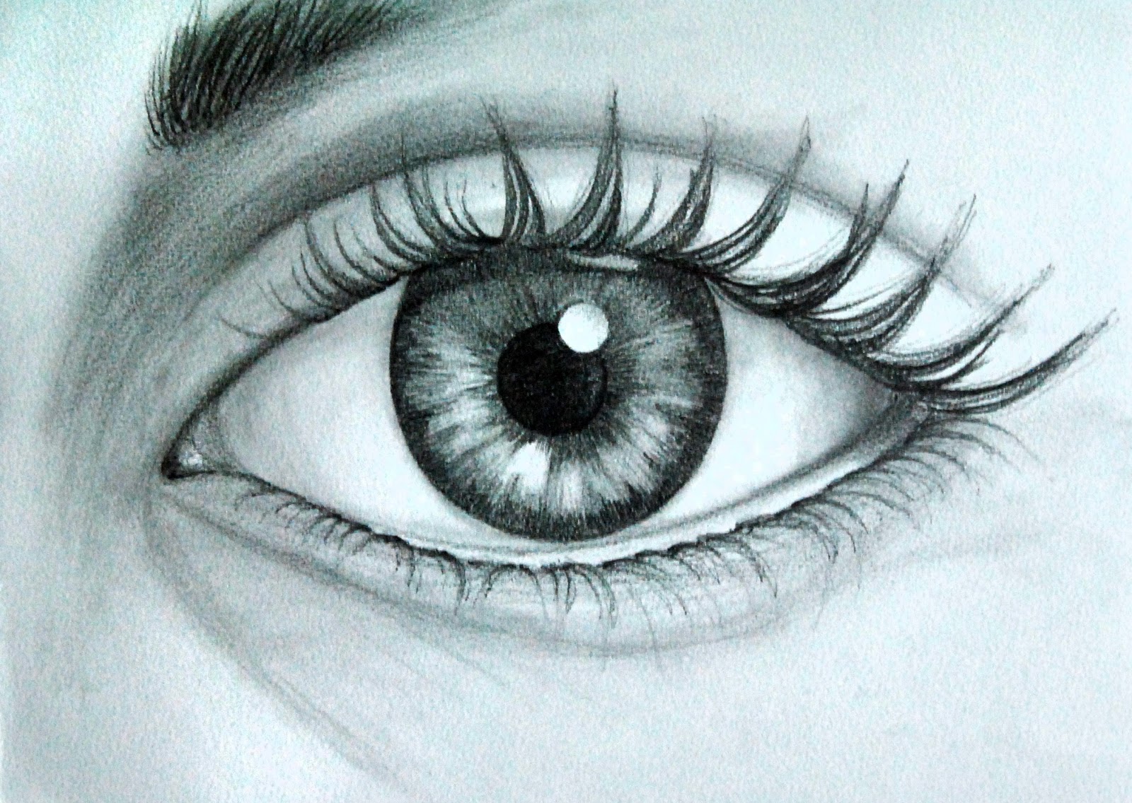 Evulet Alexandra-Silvia: DESEN IN CREION