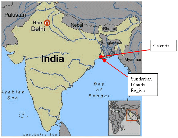 Wetlands Lover: Mesmerising Sundarban Wetland