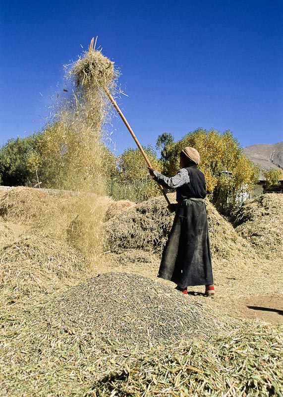 THE VOICE OF THE WISE: Is not my word like as a fire? saith the LORD ...