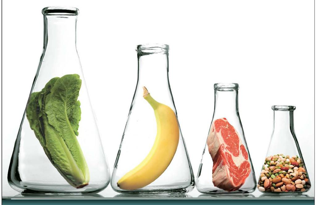 Metrologia Alimentare: approcci e strumenti | CNR Expo Lab