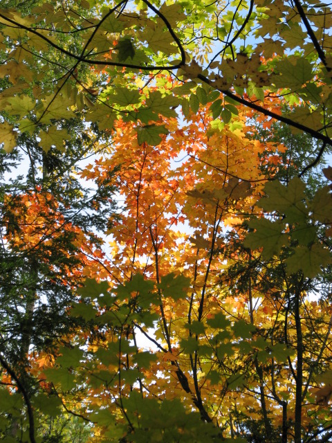 Red Rocks Park -South Burlington, Vermont | Litter with a Story To Tell