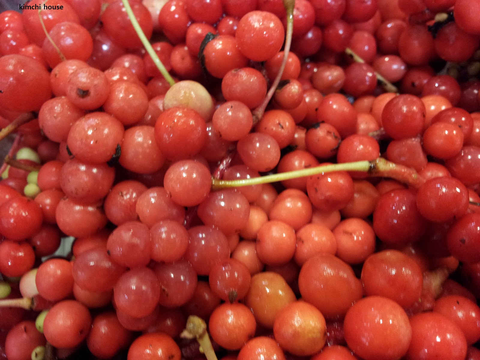 Kimchi House: "Omija Cha/Omija Tea"/오미자 차 /五味子茶