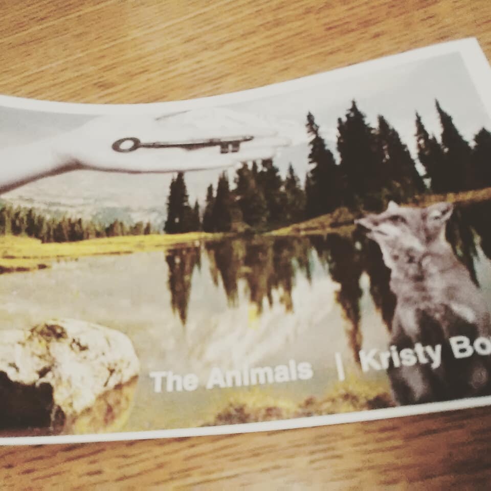 dulcetly...notes on a bookish life: sneak peak | THE ANIMALS zine project