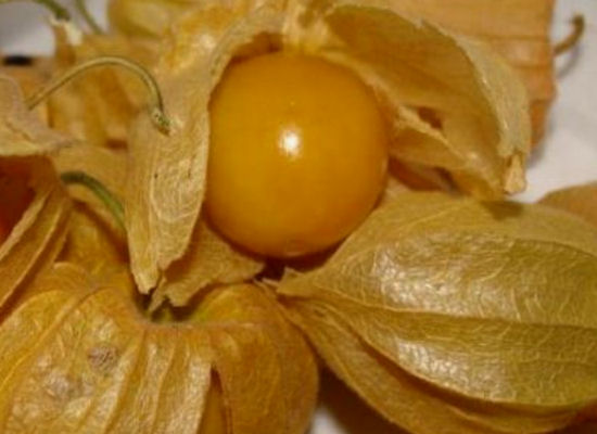 Bunatatile casei: Physalis