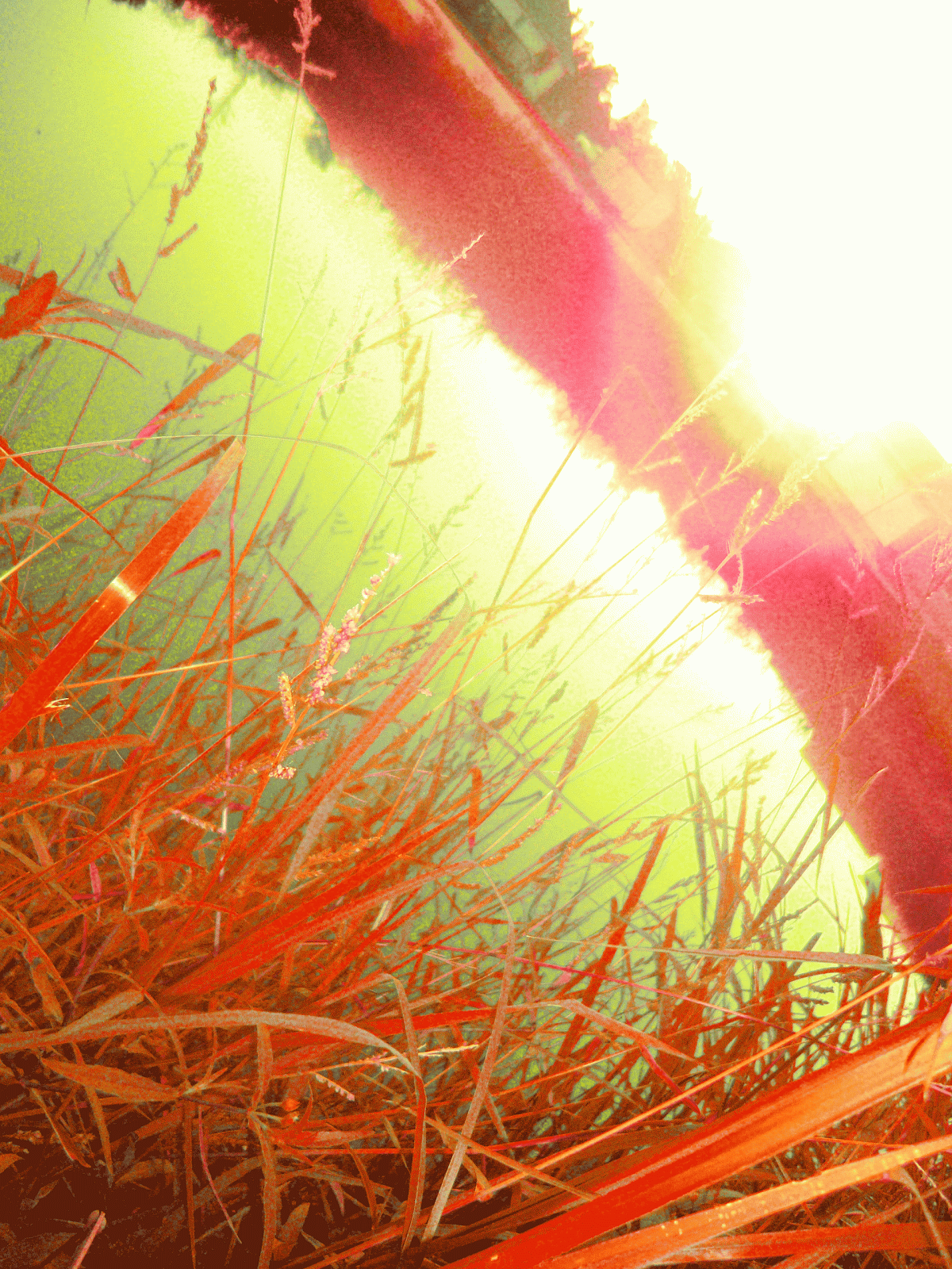 Jesinda's Blog(:: Warm Colors Landscape