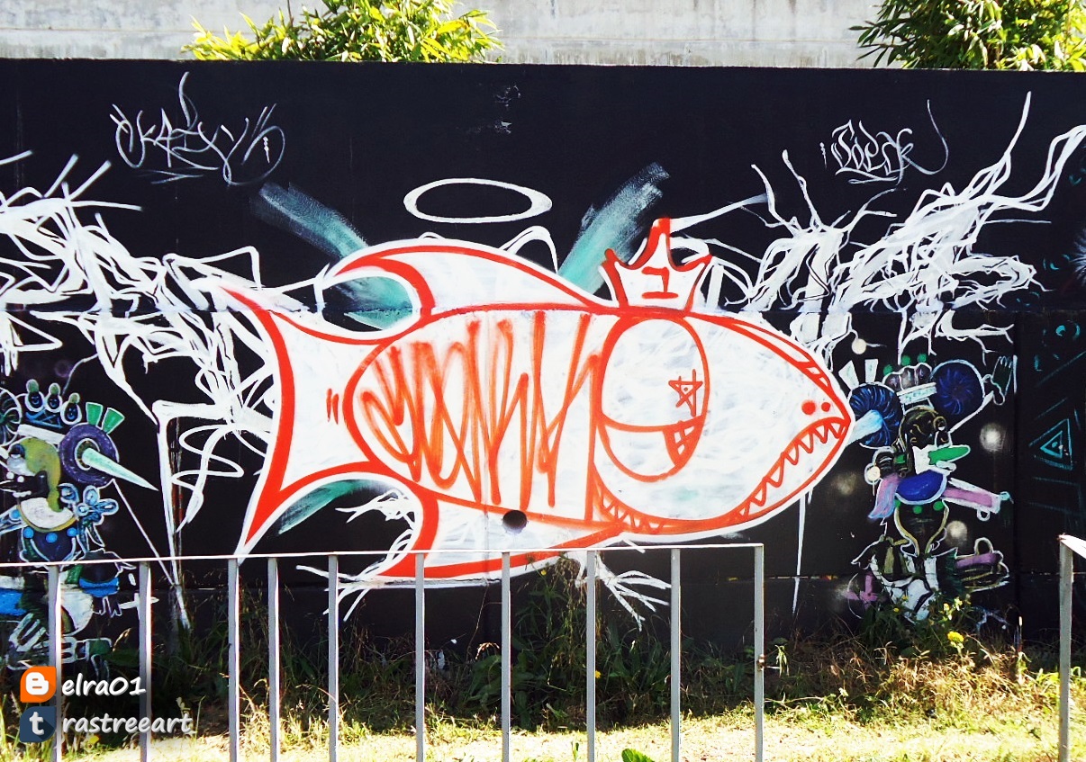 Grafitero York BSNC CHK | Elra