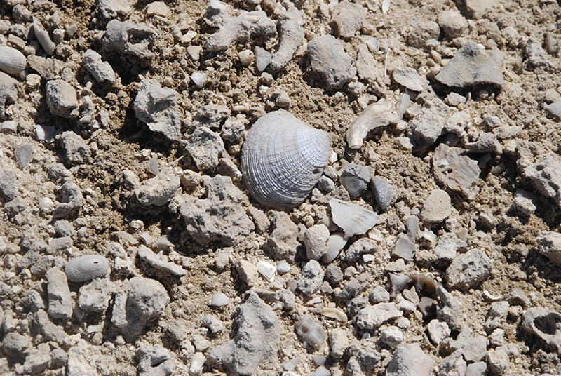 The Adventures of S/V Silhouette: Islas Espiritu Santos