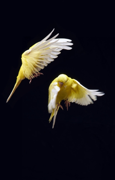 Fotografia Contemporanea: Gary Heery