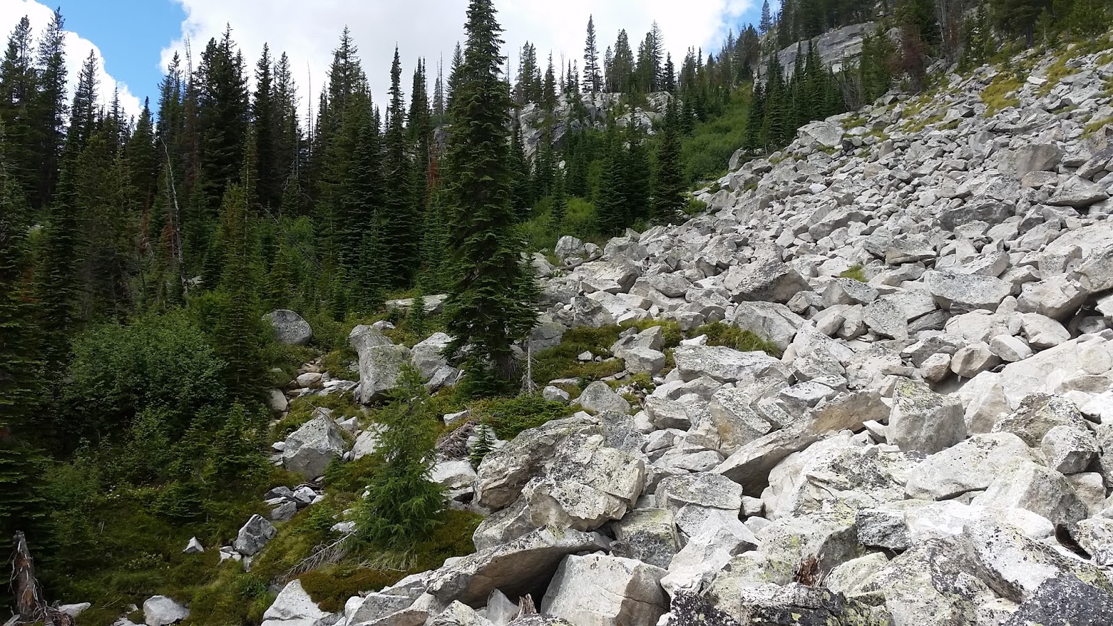 Montana Trail Runs - Bitterroot Mountains