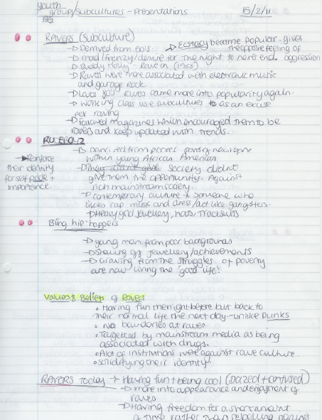 Zara Advanced Portfolio: Subculture Research