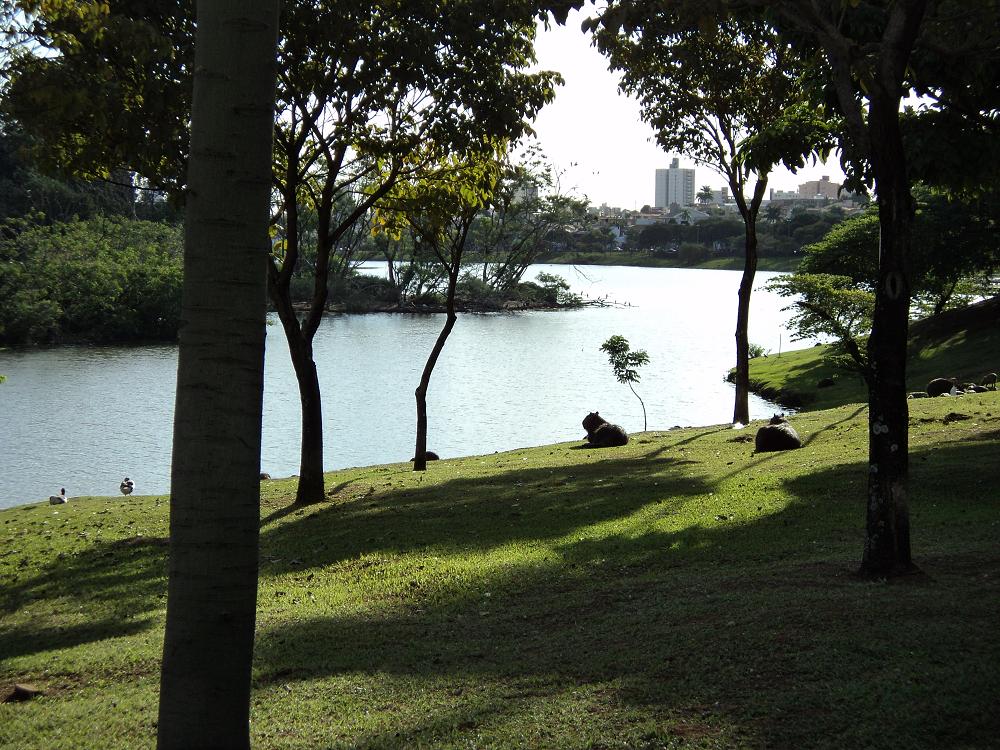 ALDEIA MUNDUS(3R7) - Meio Ambiente/ Política e Social/Cotidiano : Reg ...