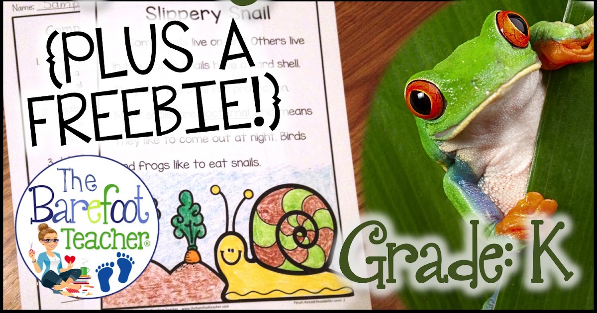 Spring Themed Reading Comprehension Pack Plus a FREE DOWNLOAD | The ...